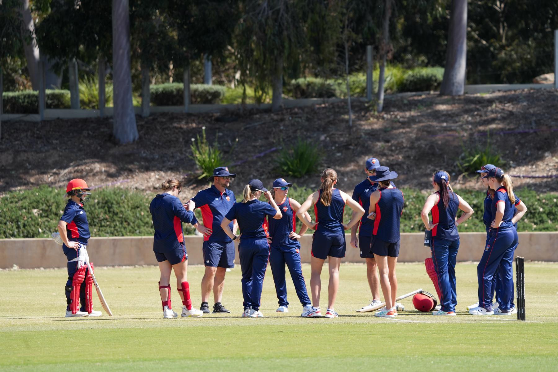 SA Scorpions 2023/24 season preview | South Australian Cricket Association