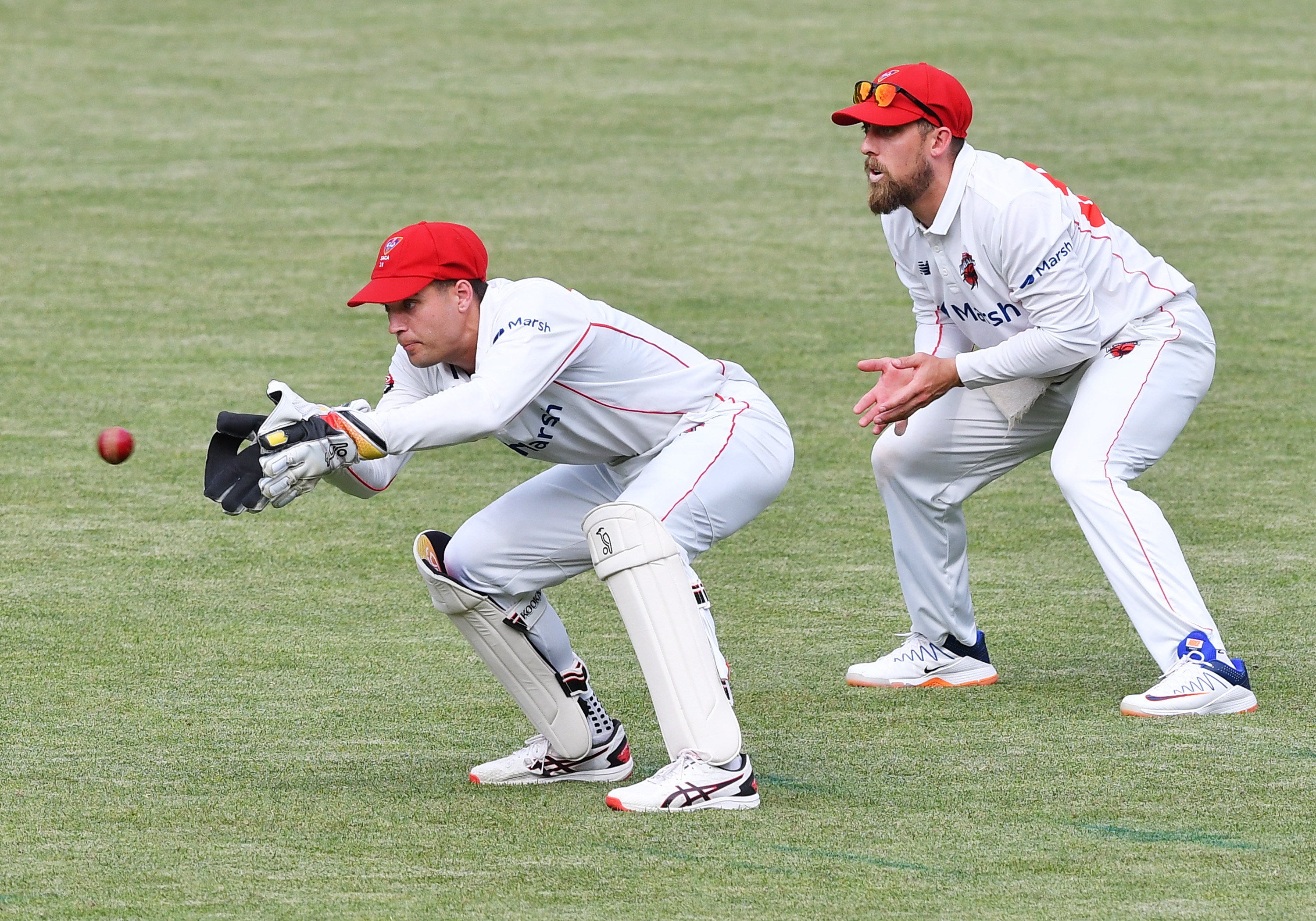 Carey returns for Shield clash v Victoria | South Australian Cricket ...