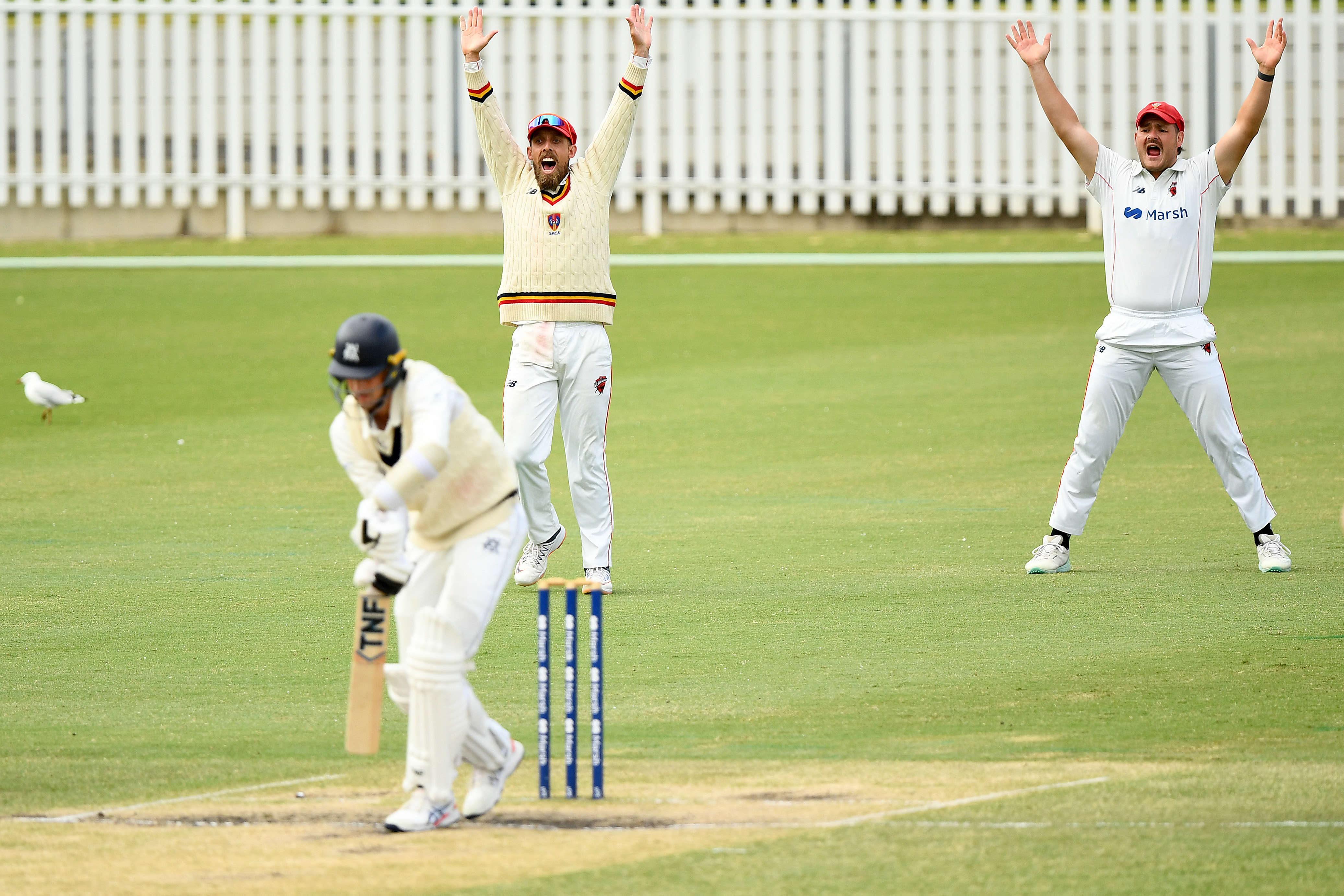 Redbacks fall just short of Victoria | South Australian Cricket Association