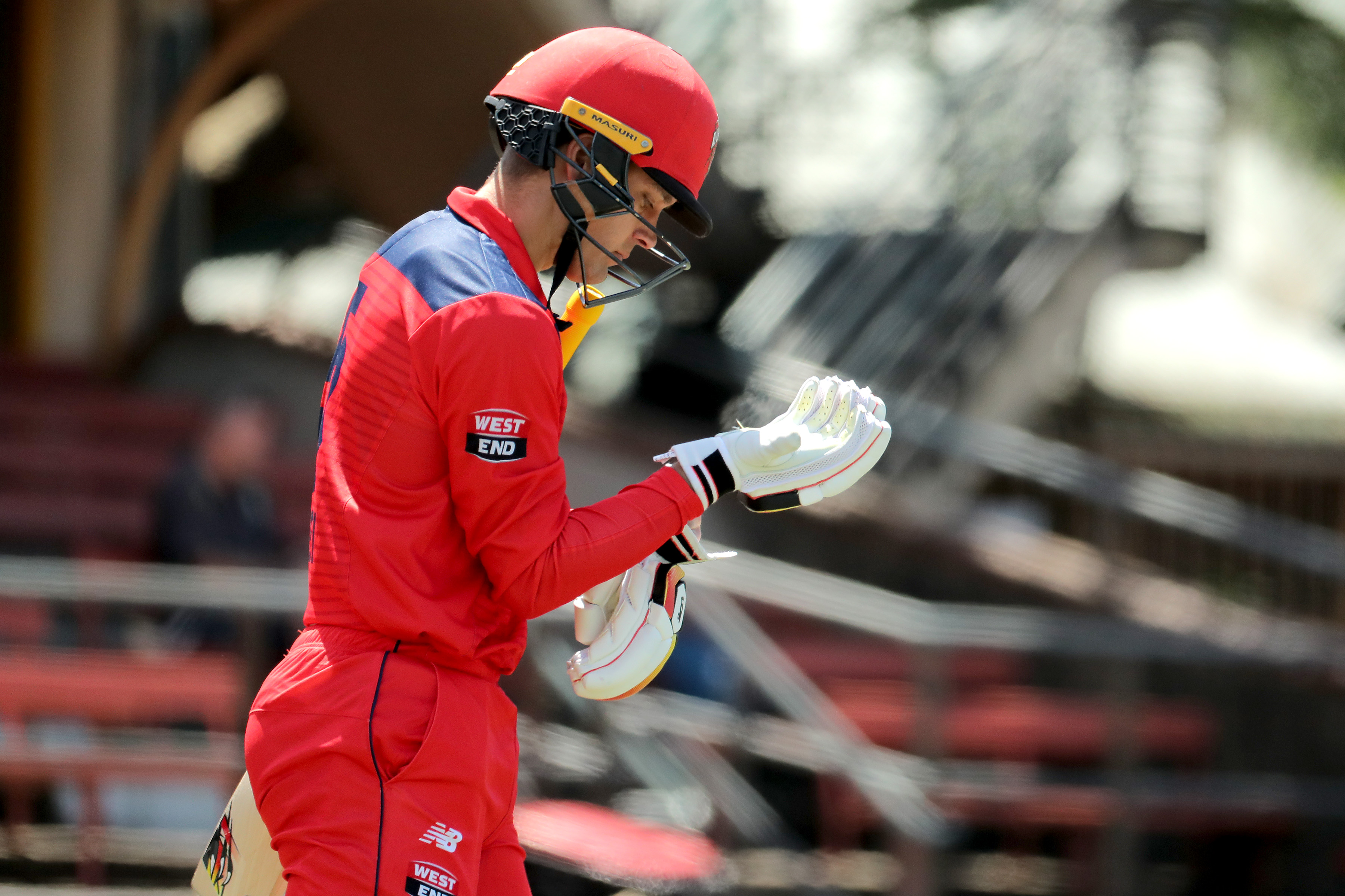 Redbacks Marsh Cup squad v Queensland | South Australian Cricket ...