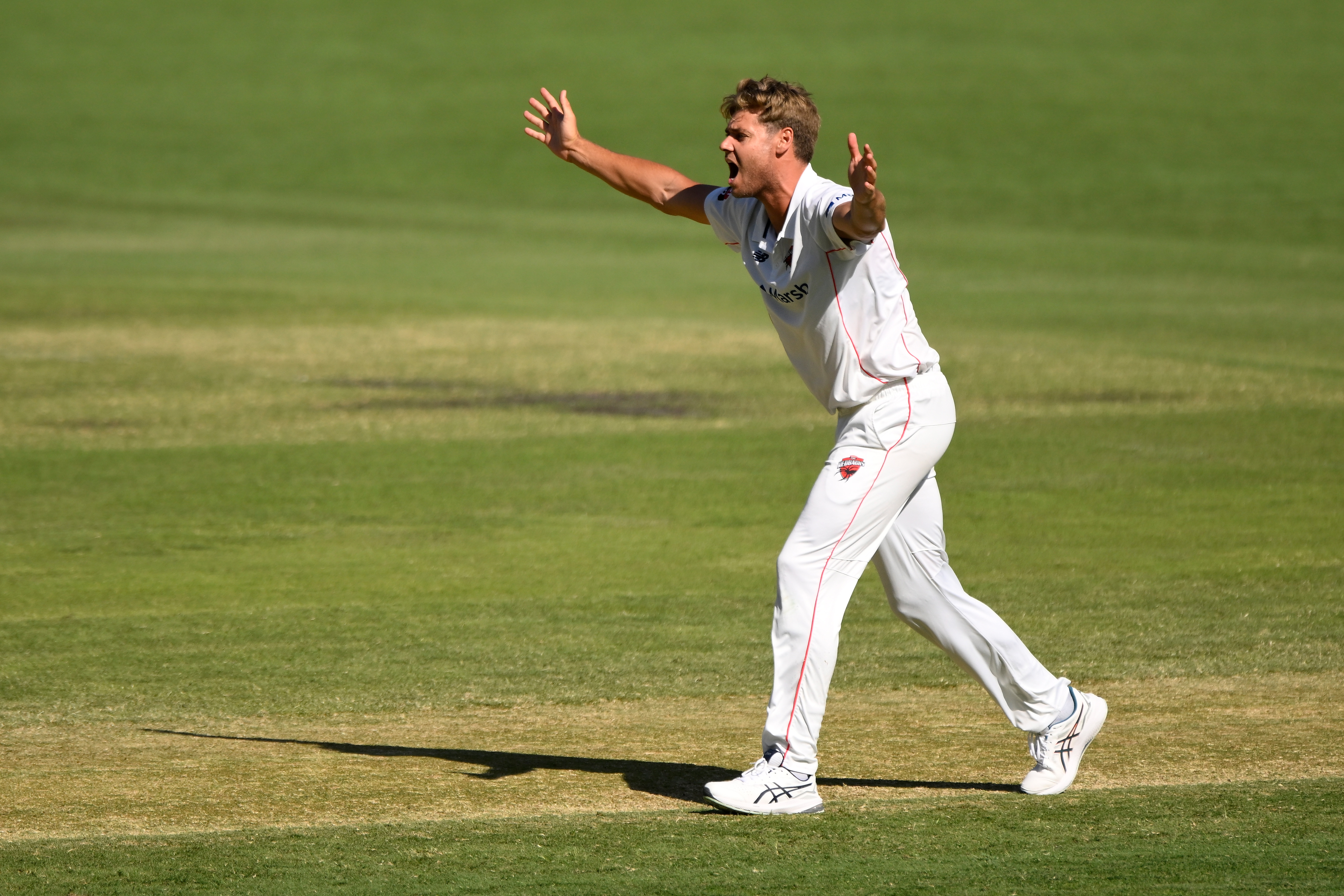 Redbacks Shield squad v NSW | South Australian Cricket Association