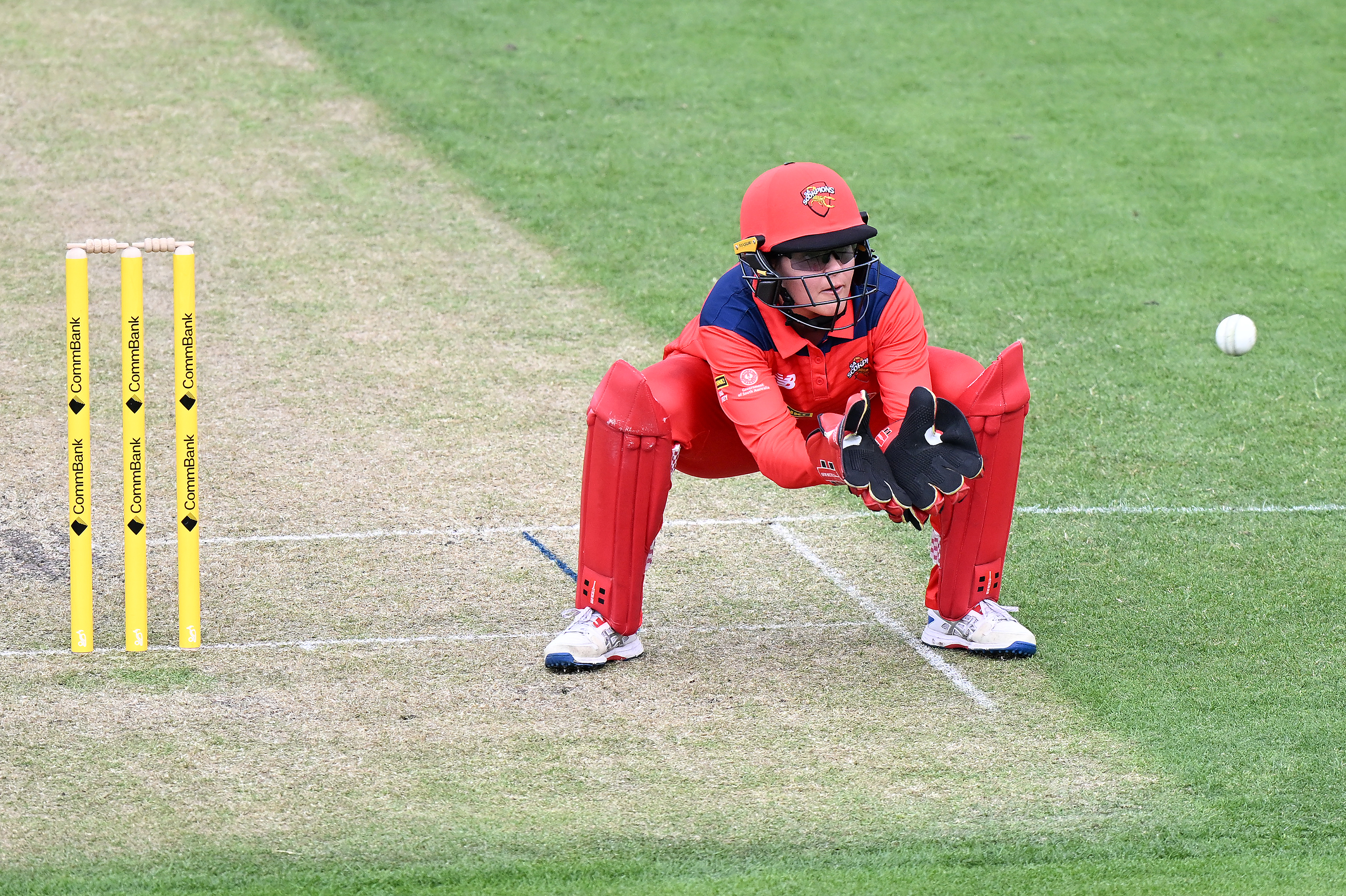 SACA Club Update | South Australian Cricket Association