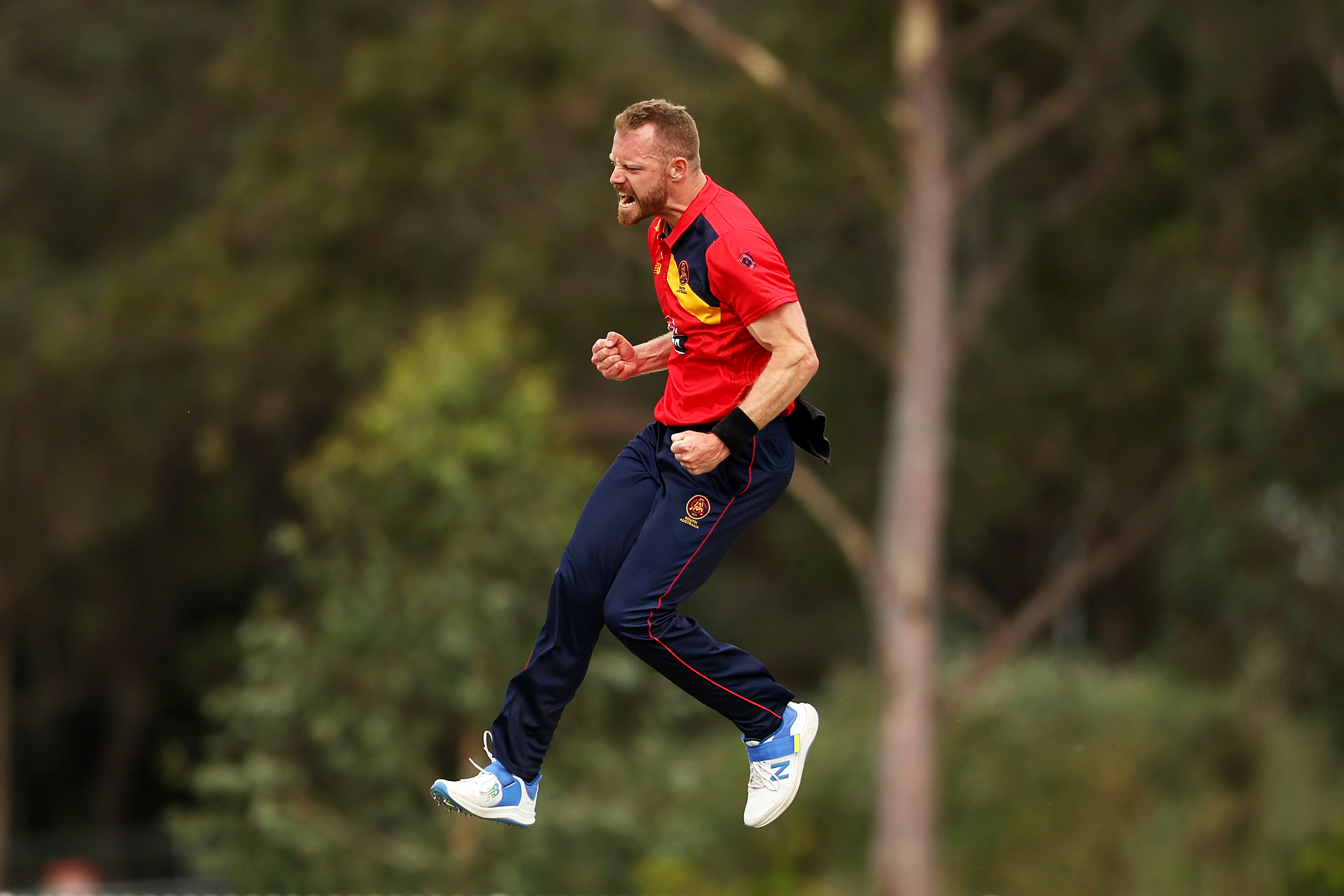 South Australia Men Victorious in Thrilling First ODC Game | South ...