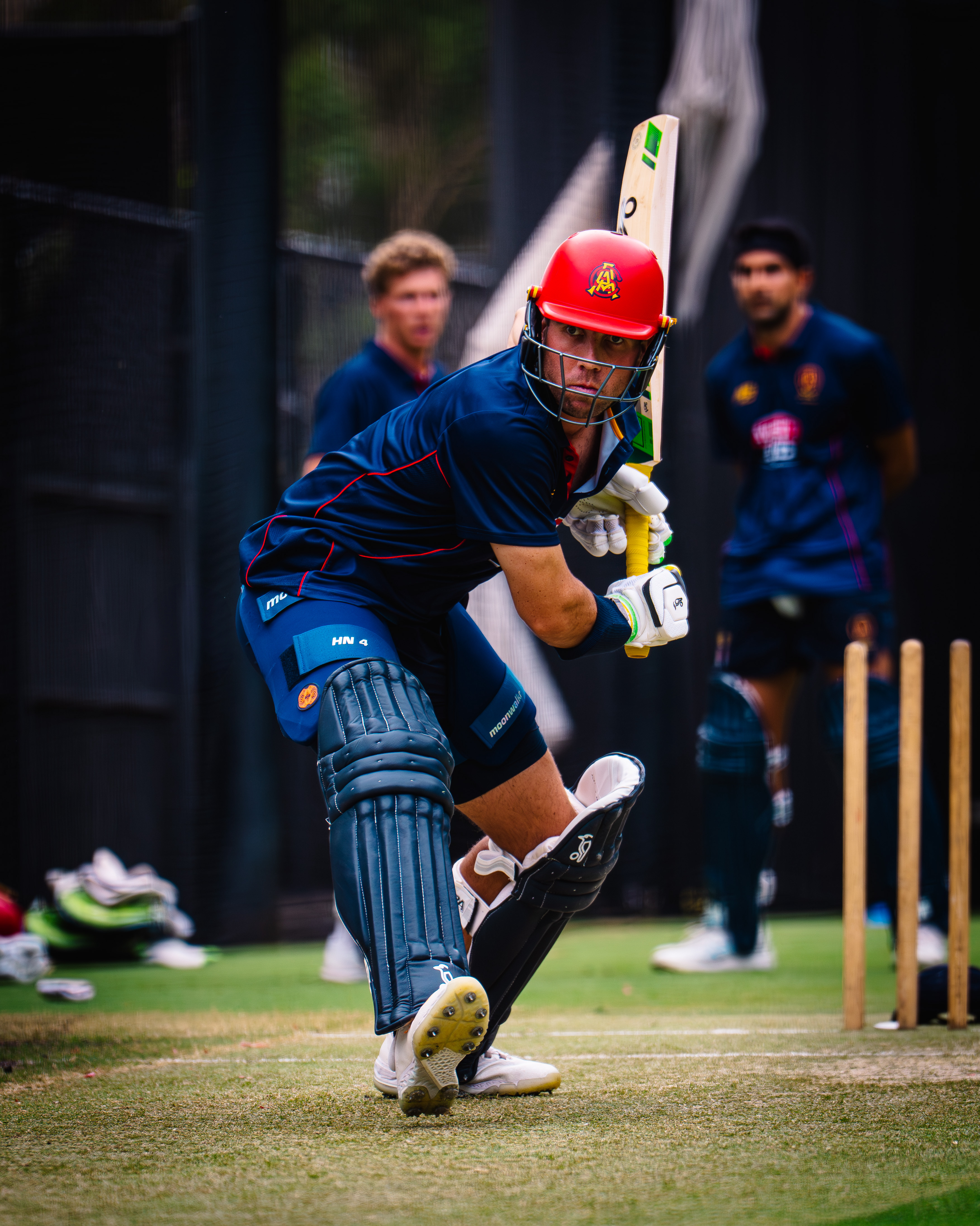 SA Sheffield Shield Squad v VIC | South Australian Cricket Association