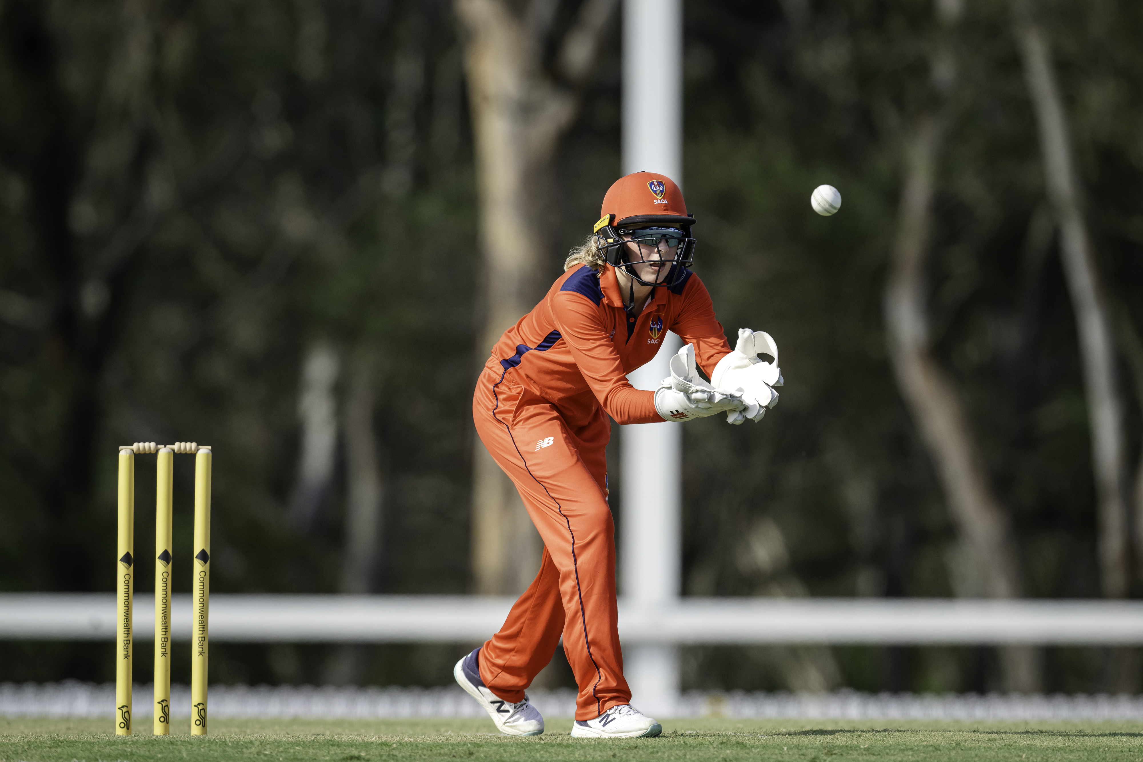 SACA Second XI Fixtures 2025/26 | South Australian Cricket Association